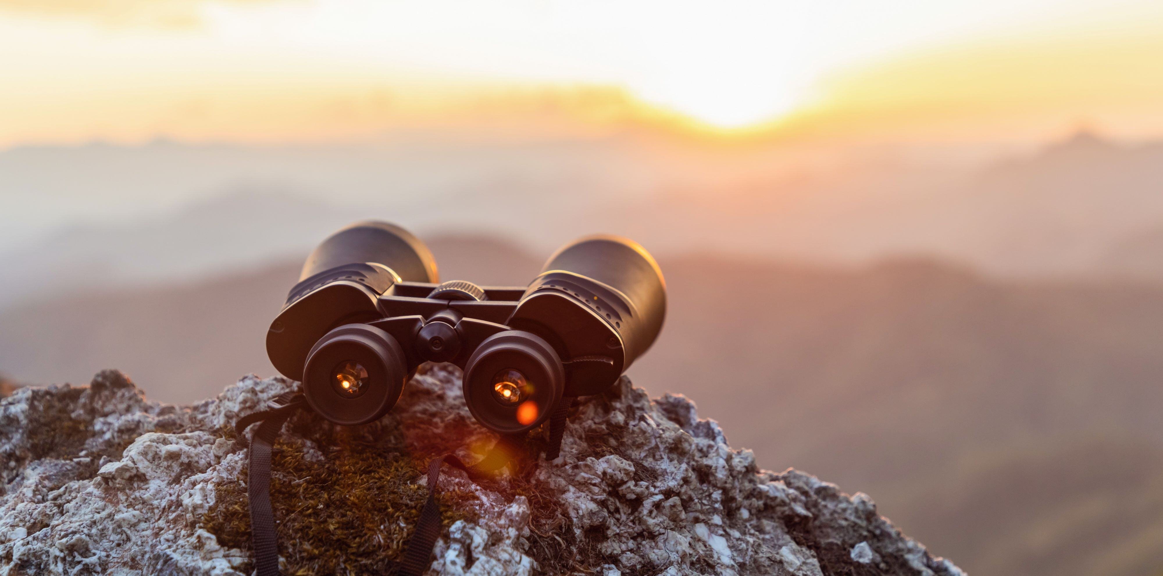 Comité de Direction